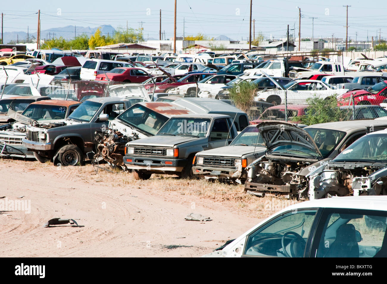 cars in a salvage yard being used to recycle parts Stock Photo - Alamy