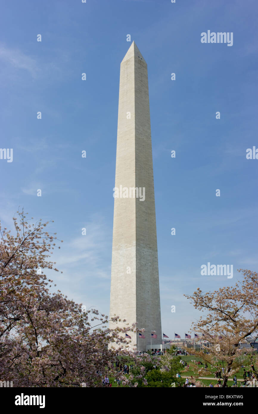 Monument trees hi-res stock photography and images - Alamy