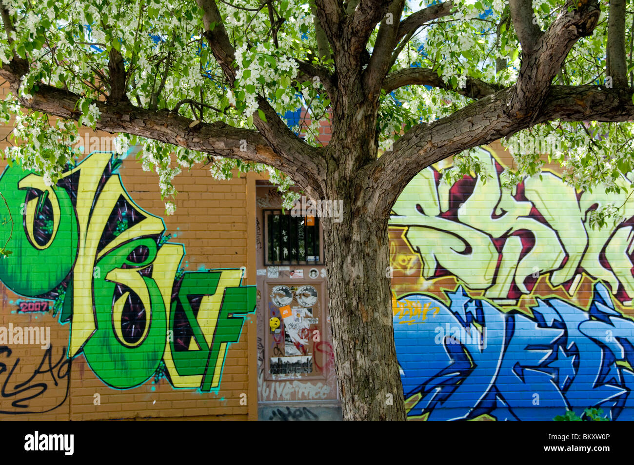 Montreal graffiti plateau hi-res stock photography and images - Alamy
