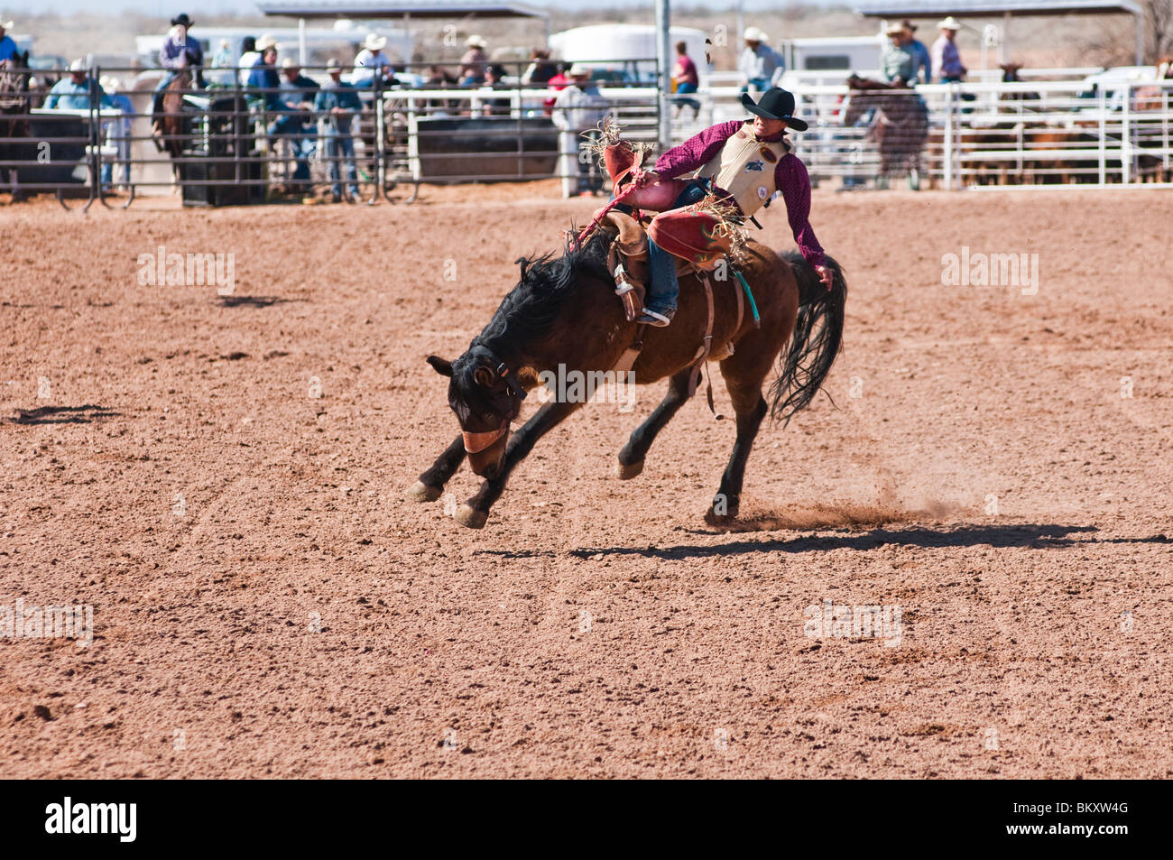 a cowboy competes in the saddle bronc riding event during the O'Odham ...