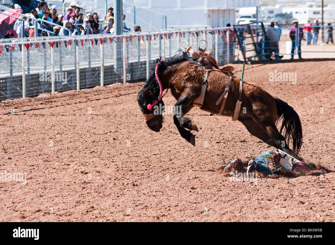 a cowboy competes in the saddle bronc riding event during the O'Odham ...
