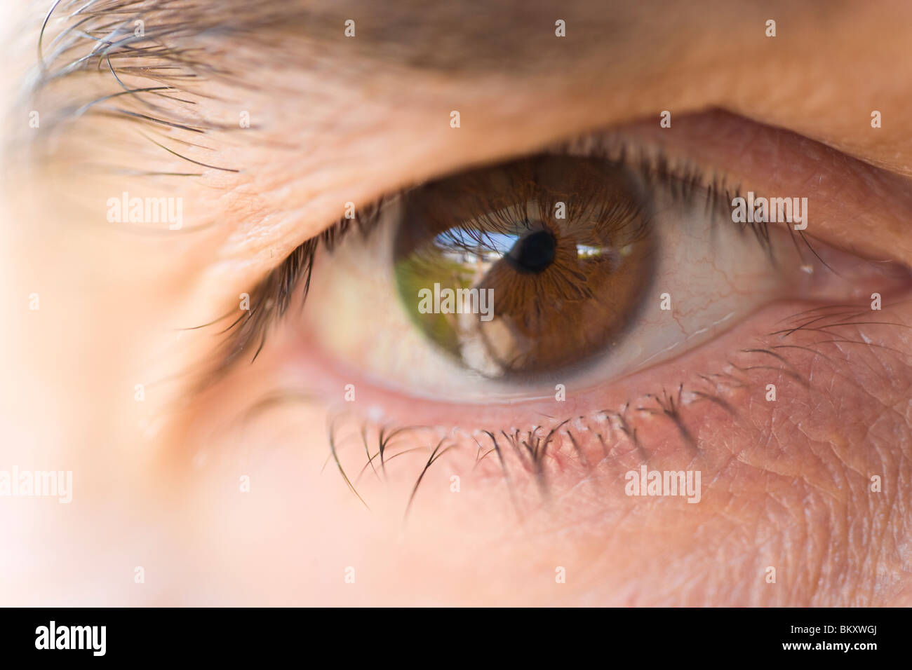 Mans Eye High Resolution Stock Photography and Images - Alamy