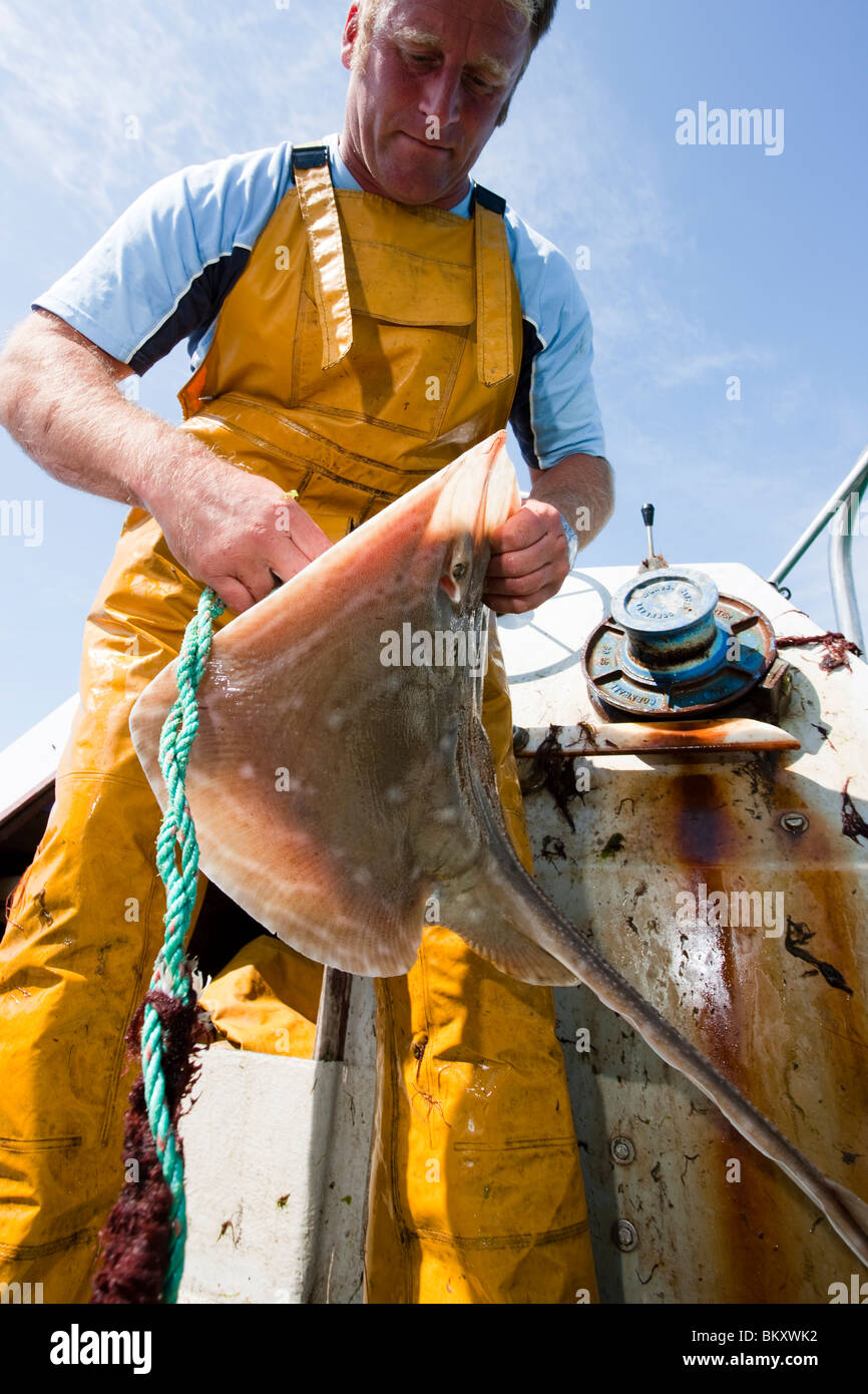 Man Gutting A Fish High Resolution Stock Photography and Images - Alamy