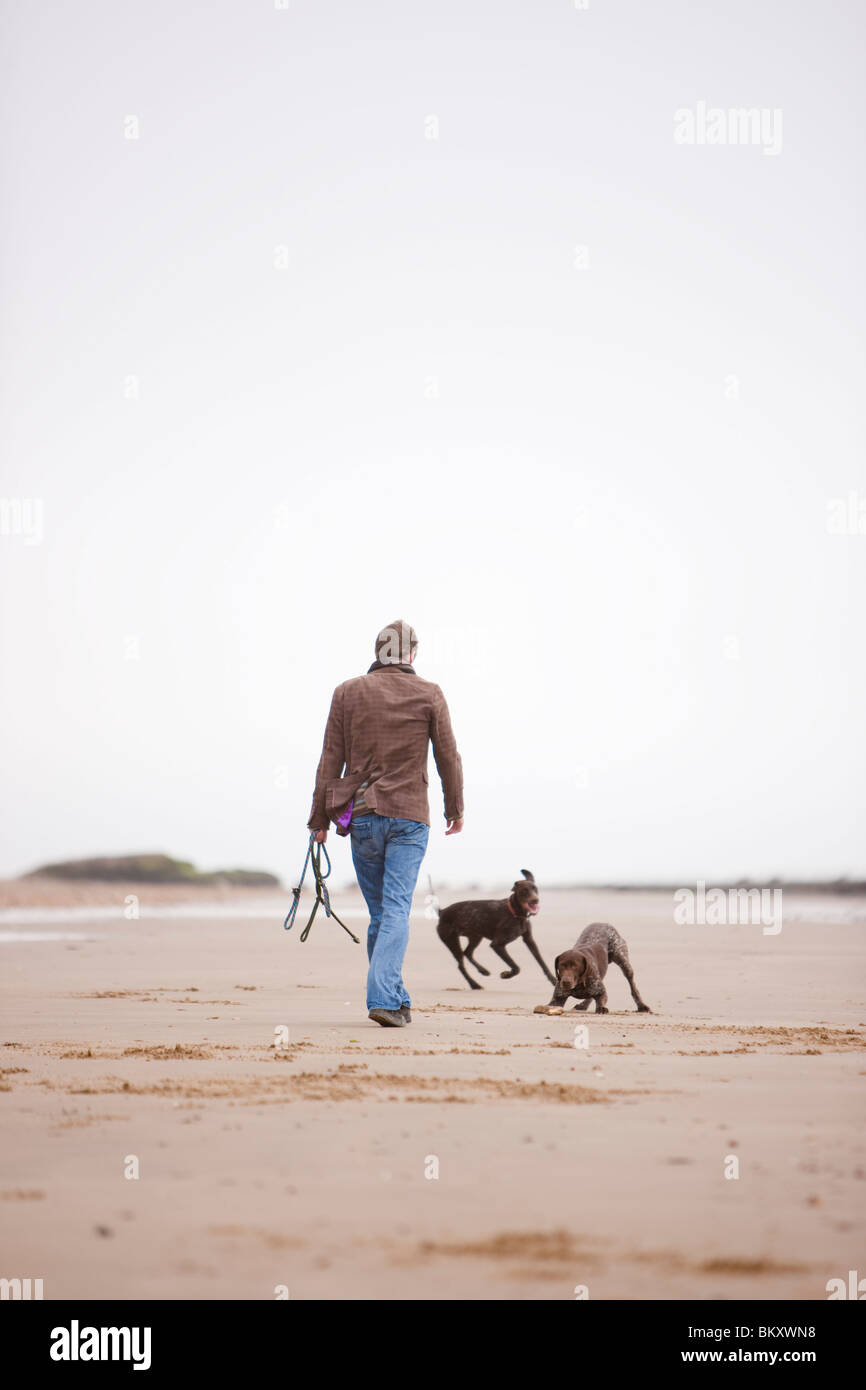Back view of man and doggy hi-res stock photography and images - Alamy