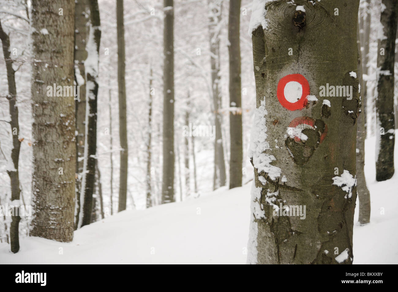 Landscapes mark marking marks natural hi-res stock photography and ...