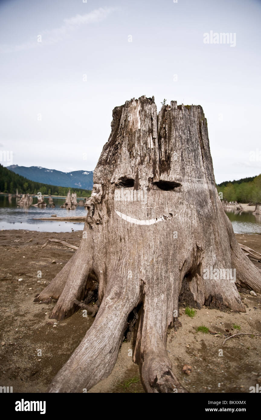 A natural smiley face on a dead tree stump by a lake Stock Photo - Alamy
