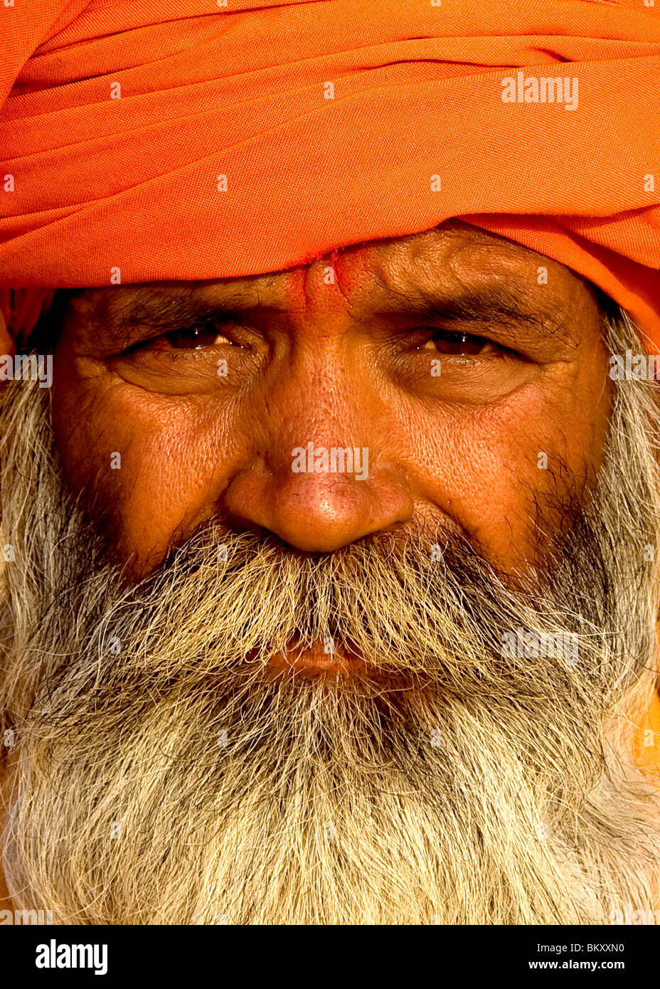 Holy Man, Varanasi, India Stock Photo - Alamy