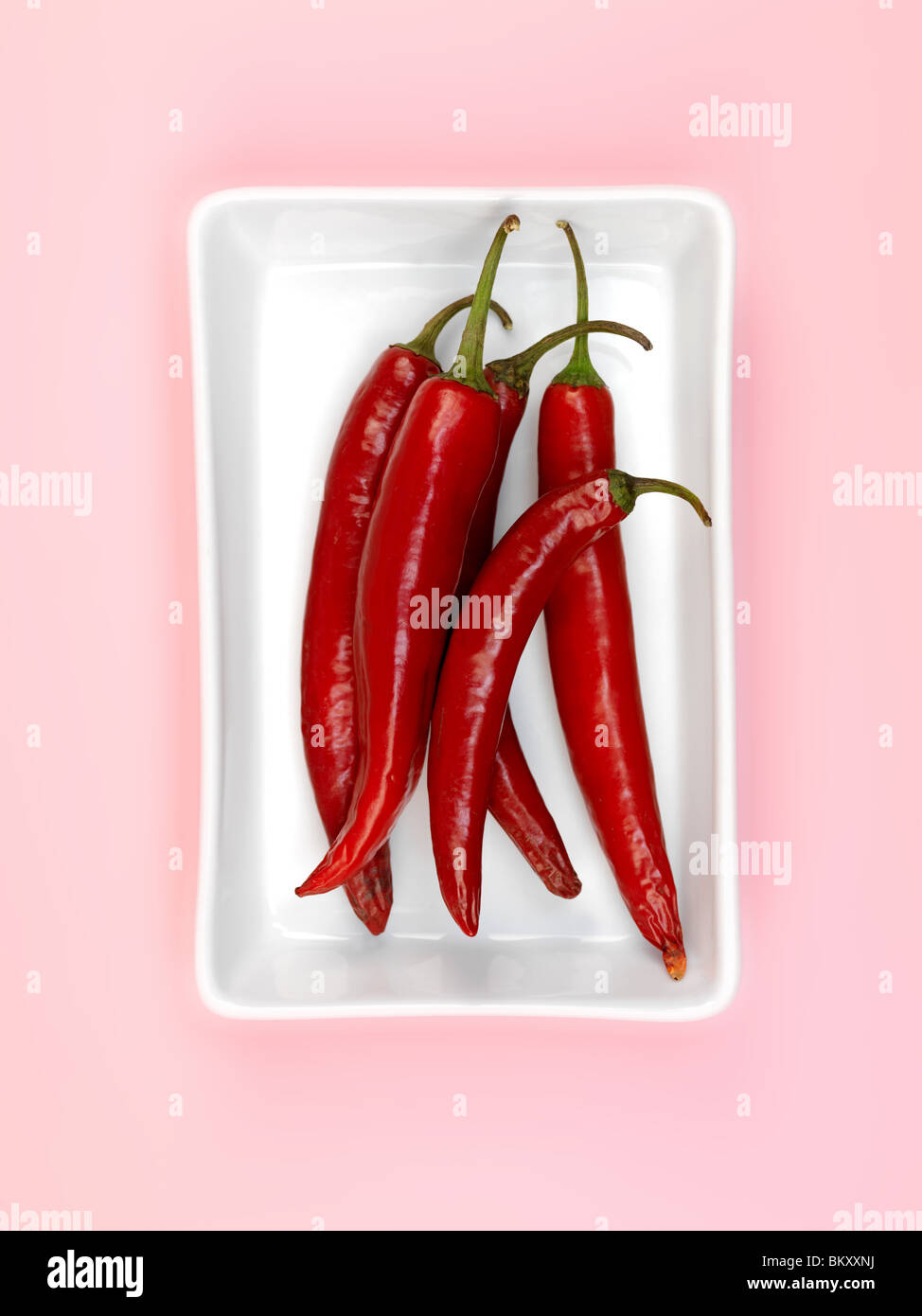 Chilli Peppers isolated on a pink background Stock Photo - Alamy