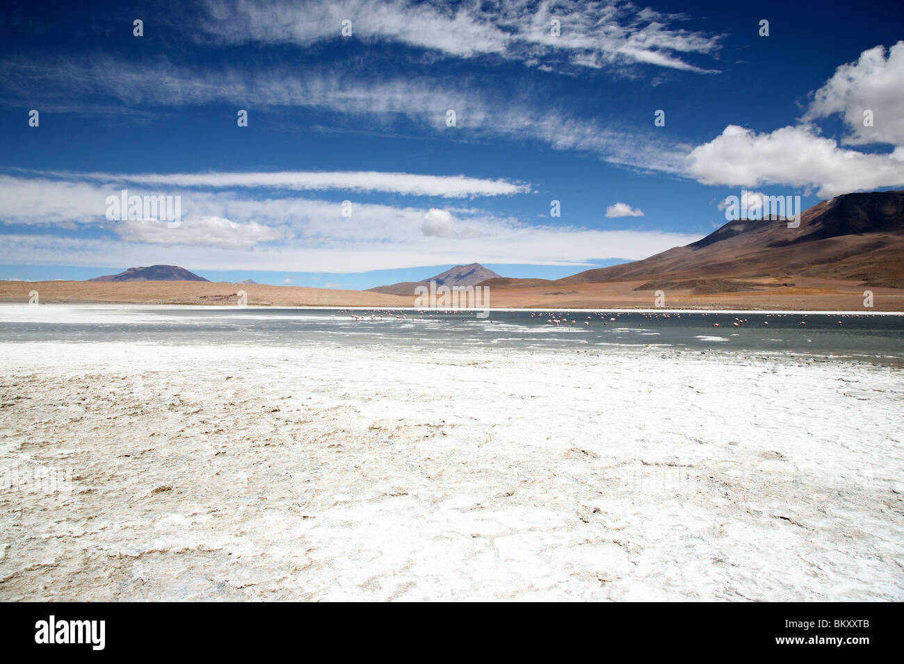 Lagoon, Salt Flats, Bolivia Stock Photo - Alamy