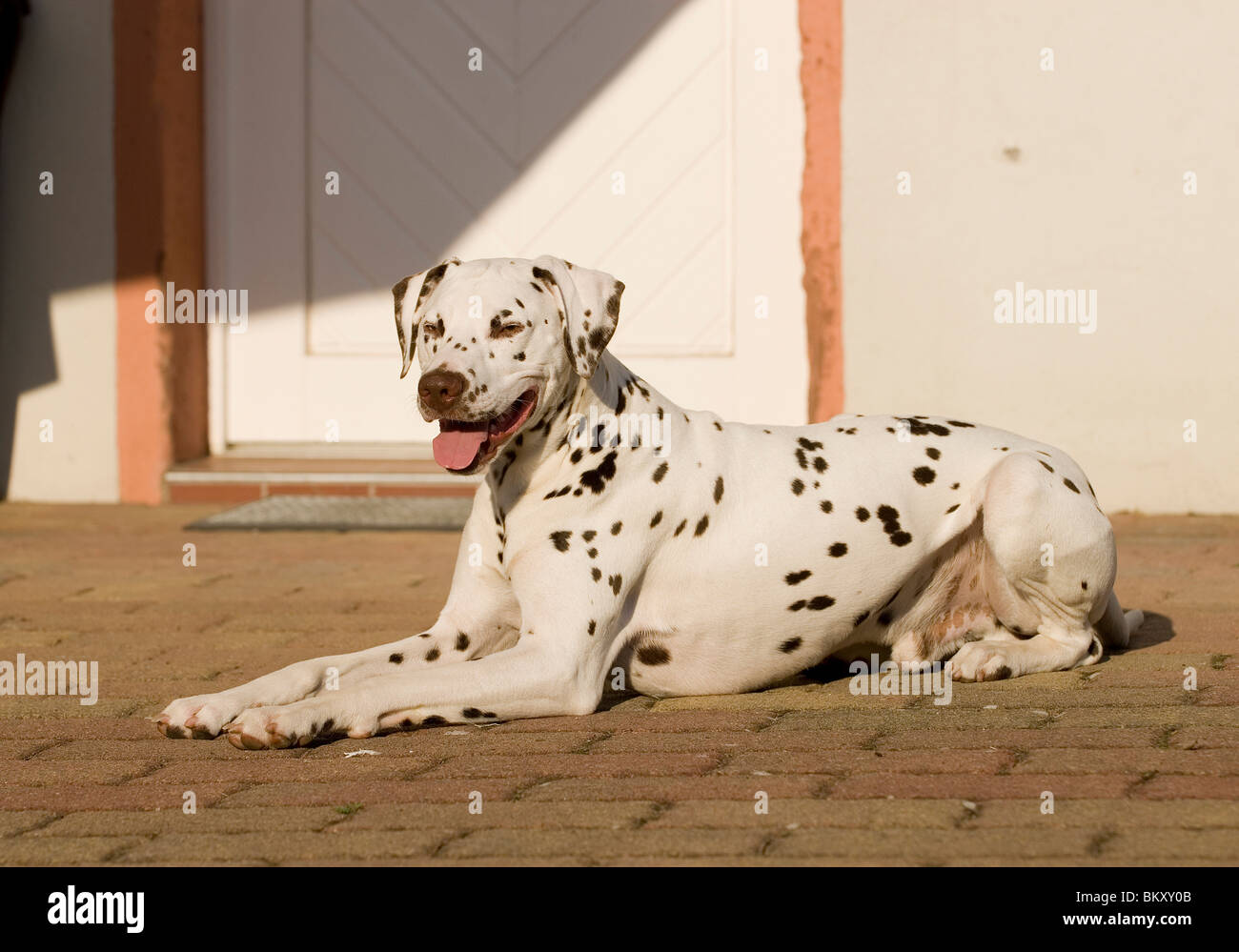 Spotty pants hi-res stock photography and images - Alamy