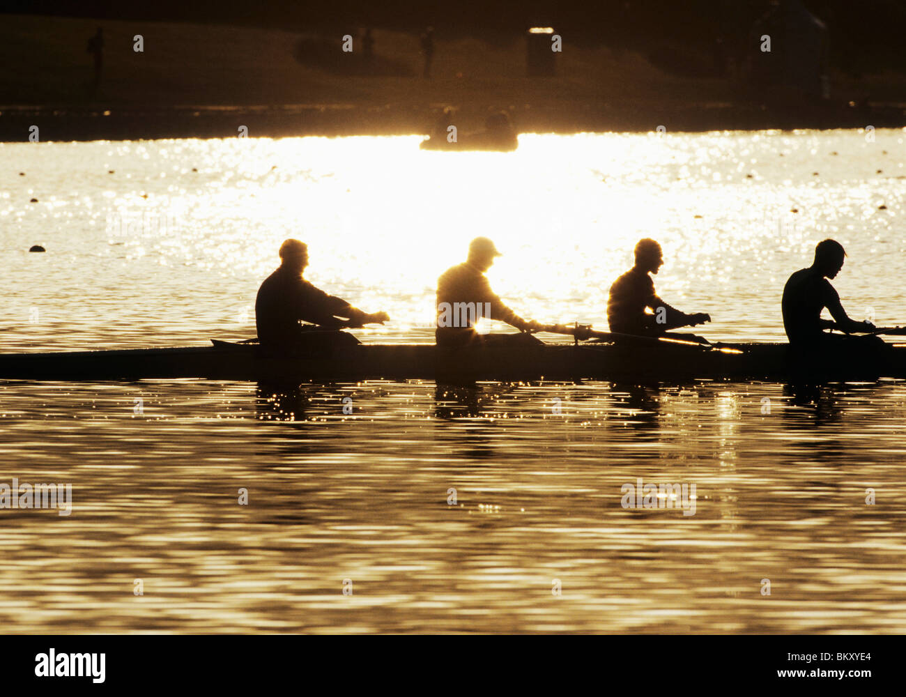 crew of rowing skull shown pulling together as dusk arrives Stock Photo ...