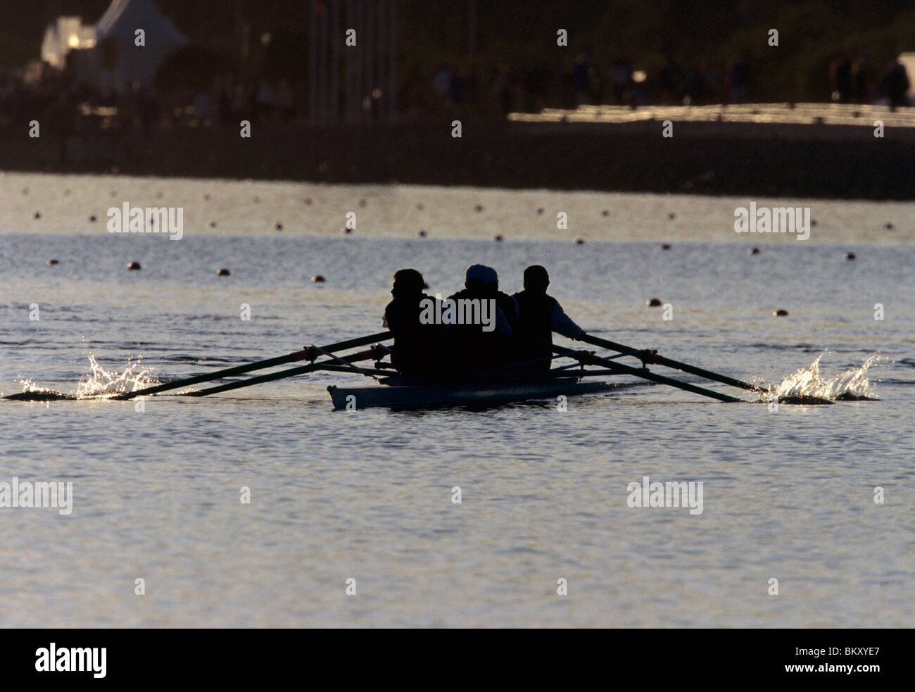 8 man crew hi-res stock photography and images - Alamy