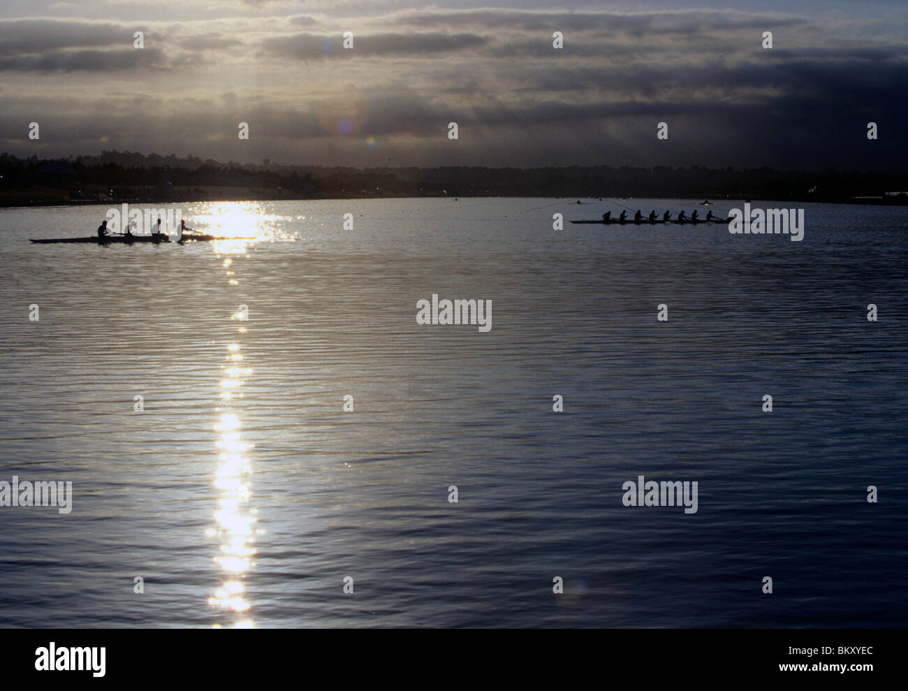 4 man rowing team hi-res stock photography and images - Alamy