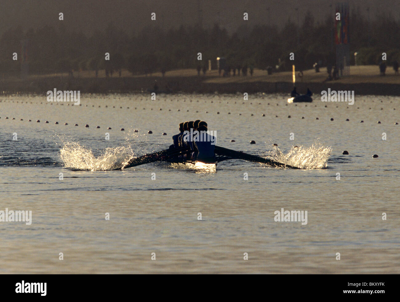 4 man rowing team hi-res stock photography and images - Alamy