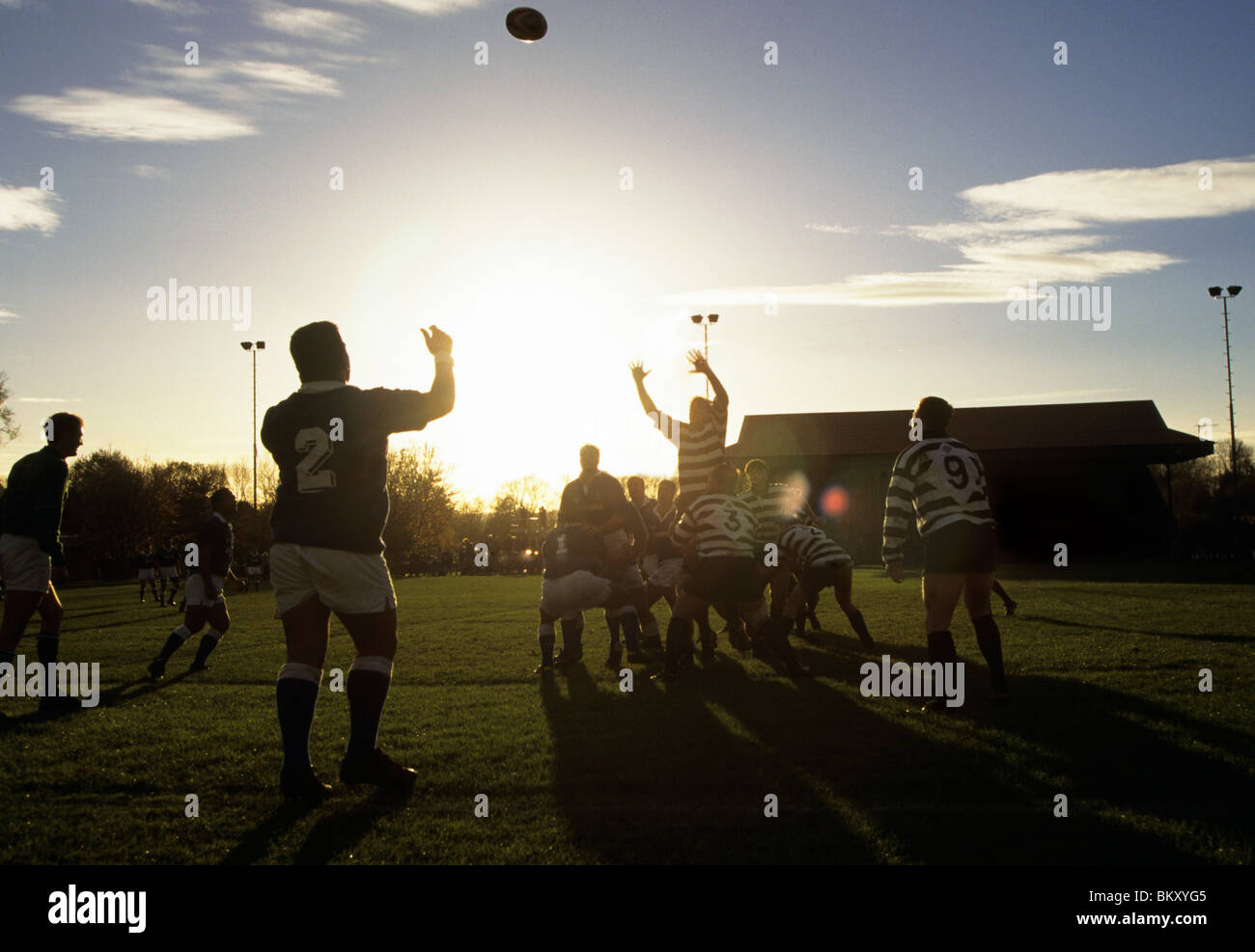 Rugby ball in line-out shown against sun flare Stock Photo - Alamy