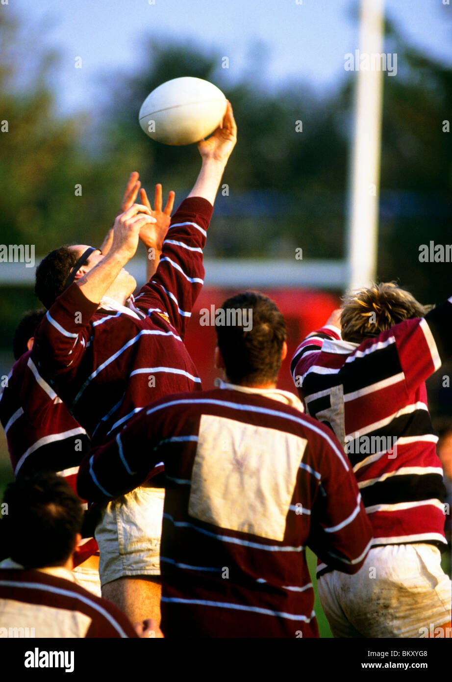 Rugby teams compete for line out ball Stock Photo - Alamy