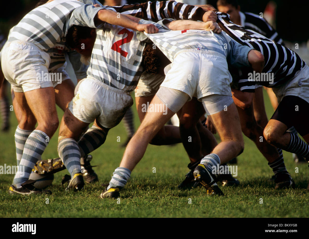 Two rugby teams compete in loose maul action Stock Photo - Alamy