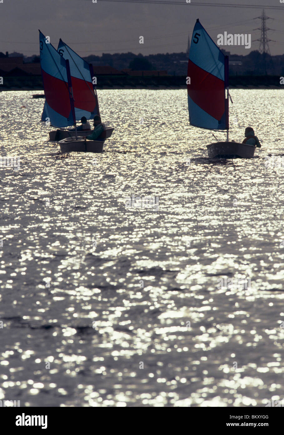 Three light sailing rigs compete on lake in sunset Stock Photo - Alamy