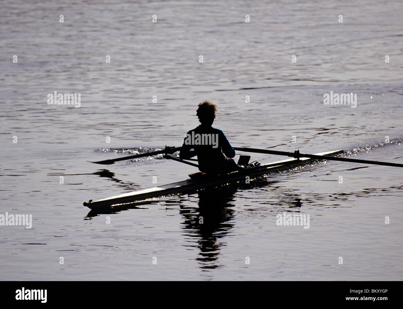single rower trains on lake Stock Photo - Alamy