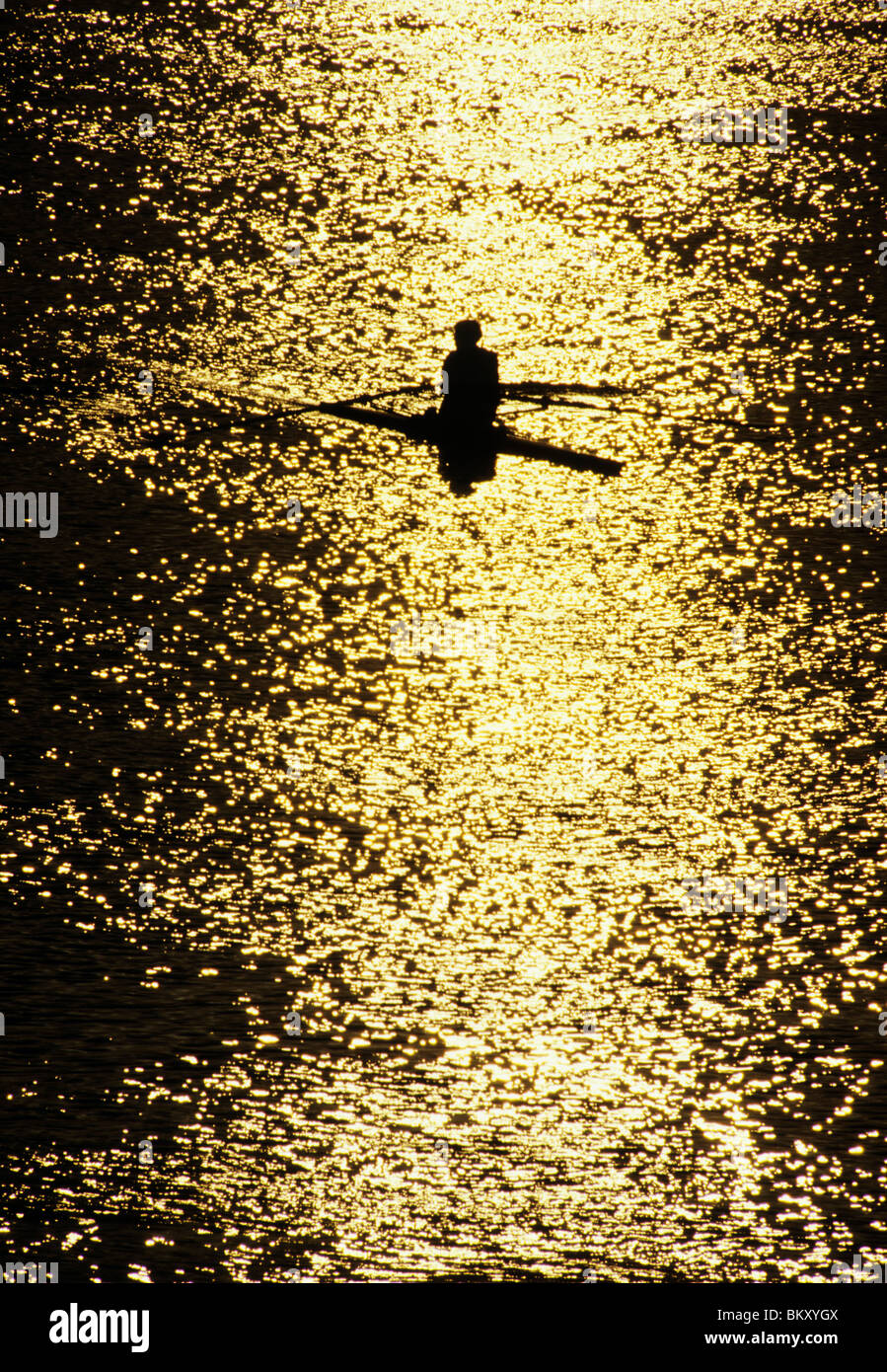 single rower trains on lake Stock Photo - Alamy