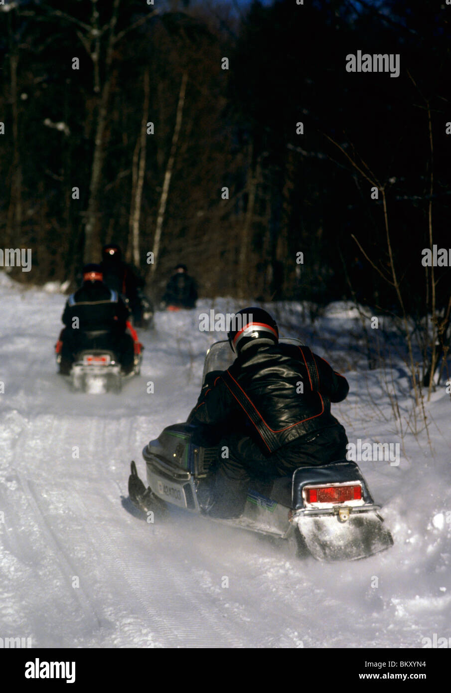 People on snow mobiles Stock Photo - Alamy