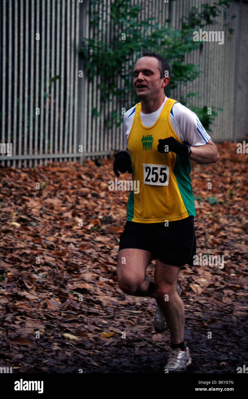 Man running marathon through wooded area Stock Photo - Alamy