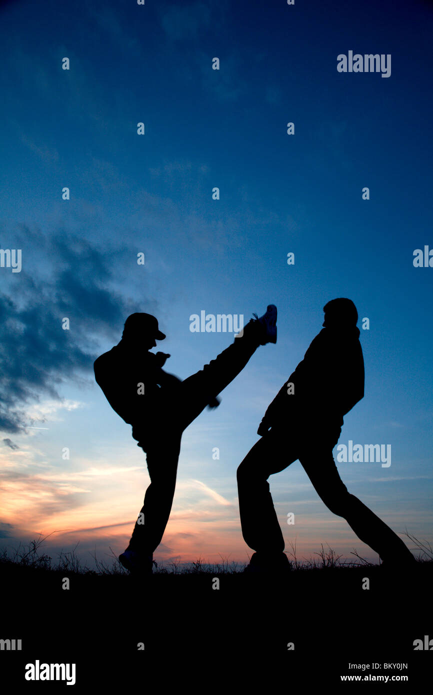 karate training by sunset - silhouette Stock Photo - Alamy