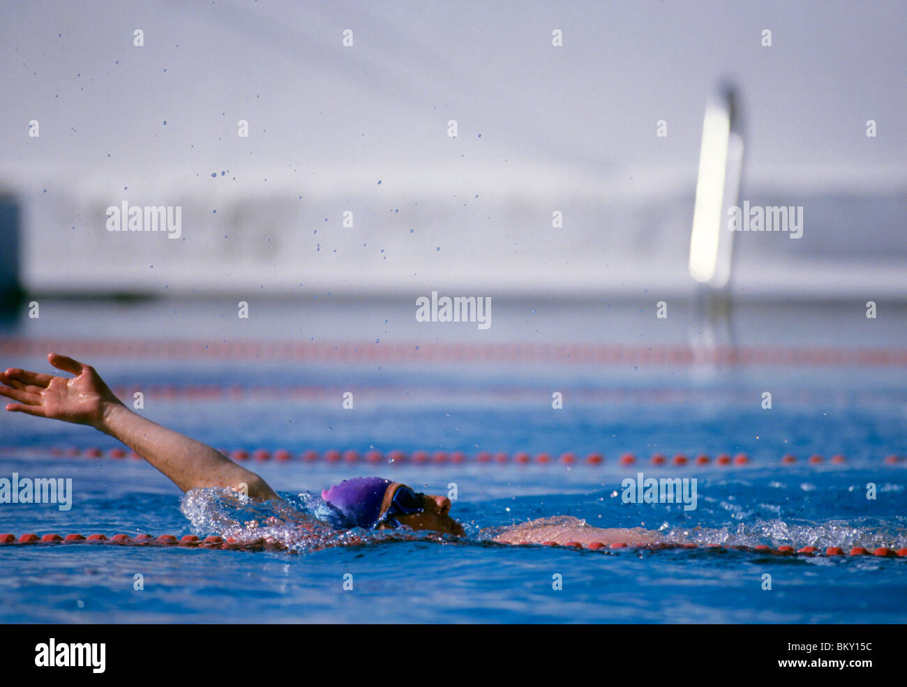 Man swimming backstroke in pool Stock Photo - Alamy