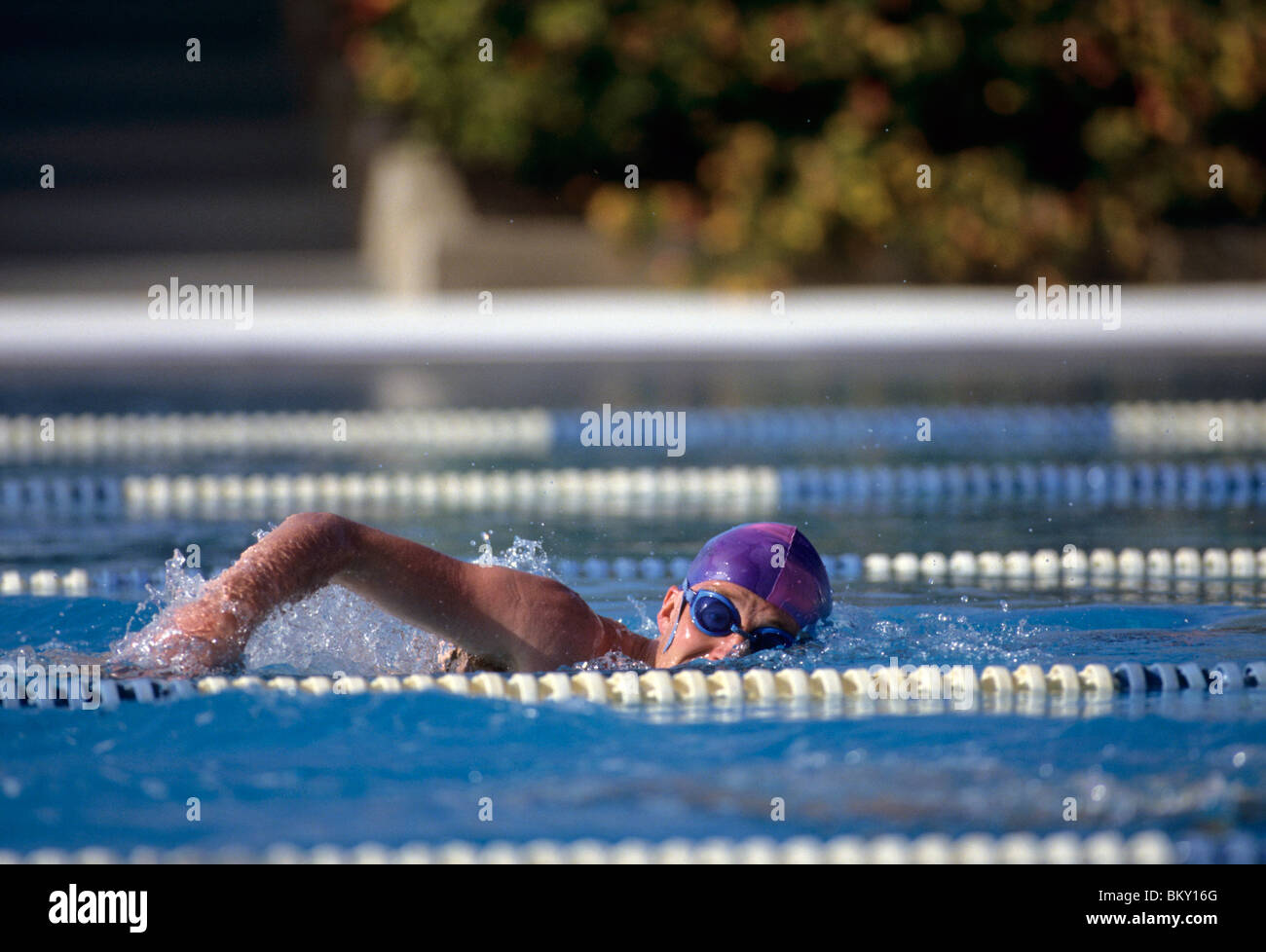 Man swimming front crawl in pool Stock Photo - Alamy