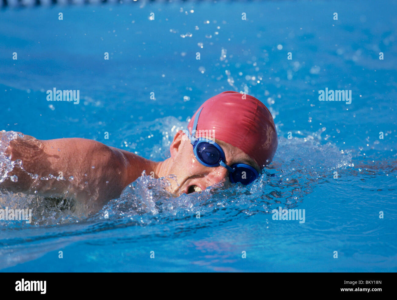 Close up swimmer crawl in pool water hi-res stock photography and ...