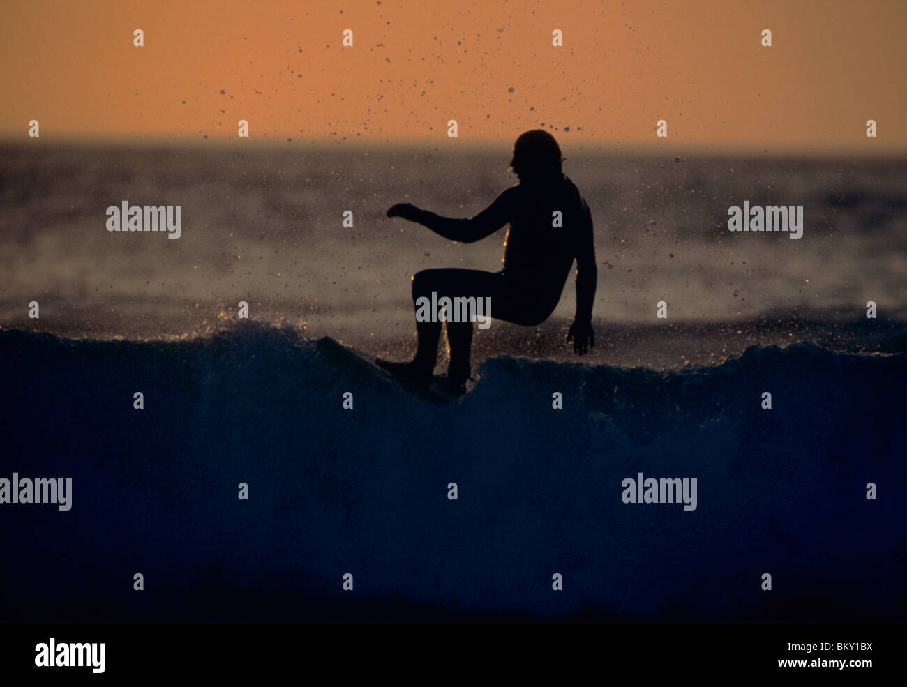 Man surfing wave in sunset Stock Photo - Alamy