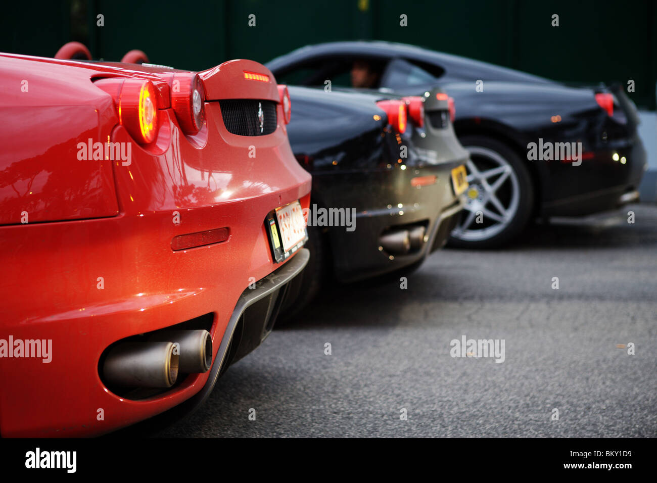 Biggest Ferrari Collection Model