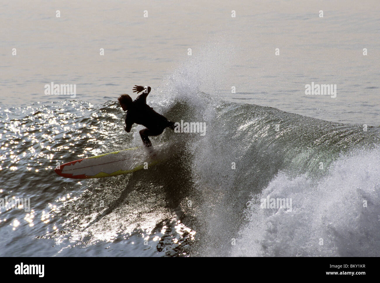Man surfing wave in ocean Stock Photo - Alamy