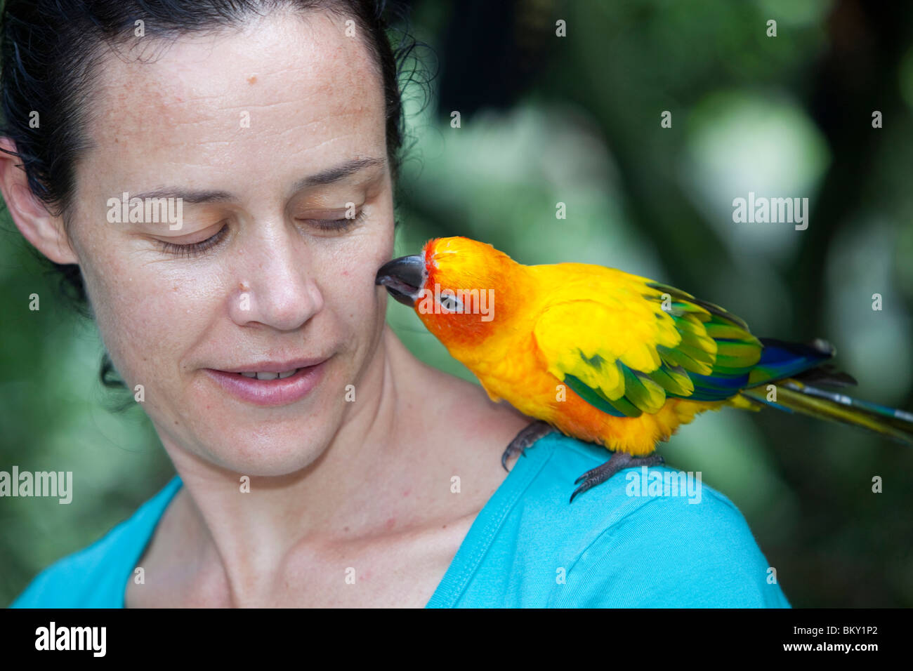 Perch on shoulder hi-res stock photography and images - Alamy