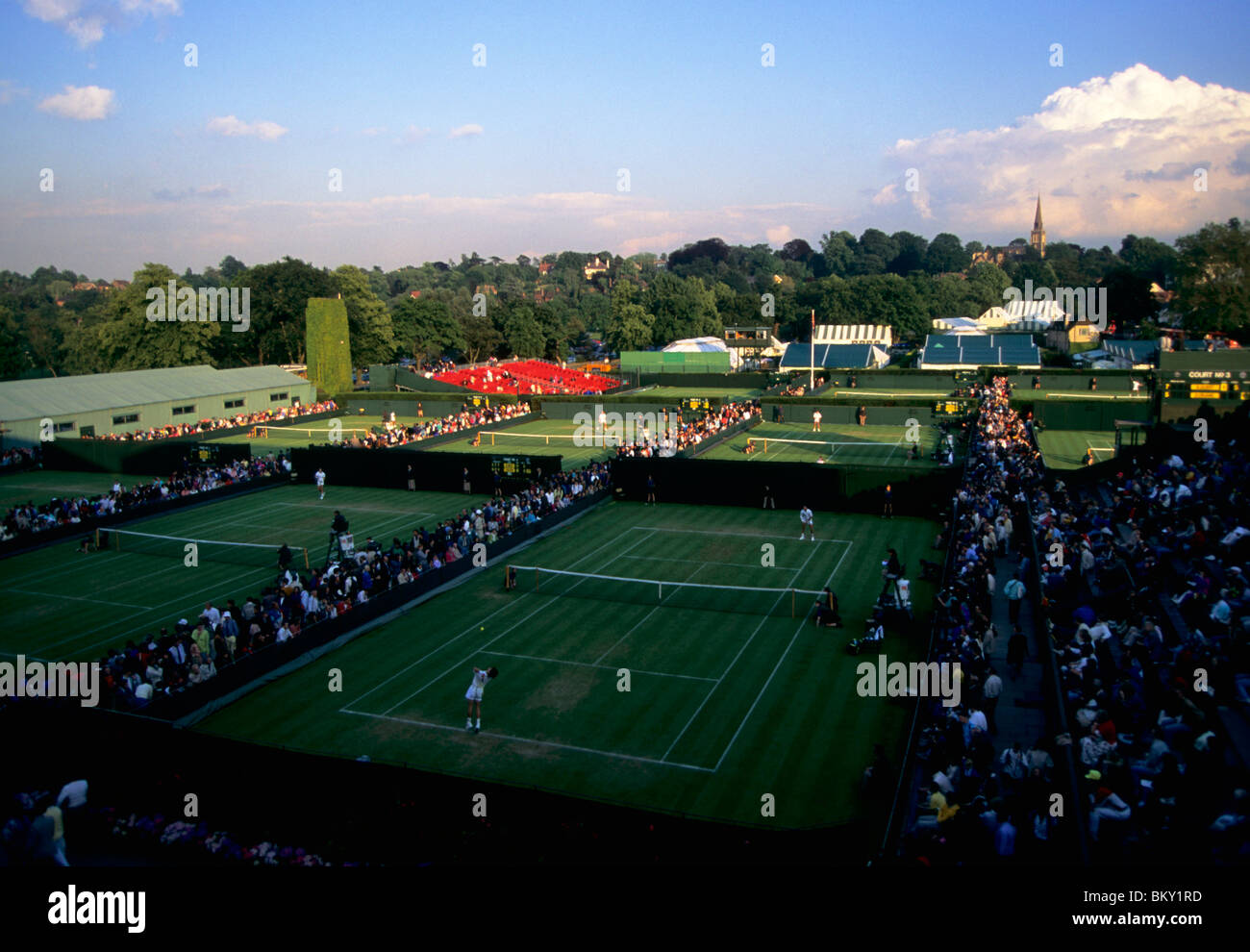 Spectators watching tennis matches on grass courts Stock Photo - Alamy