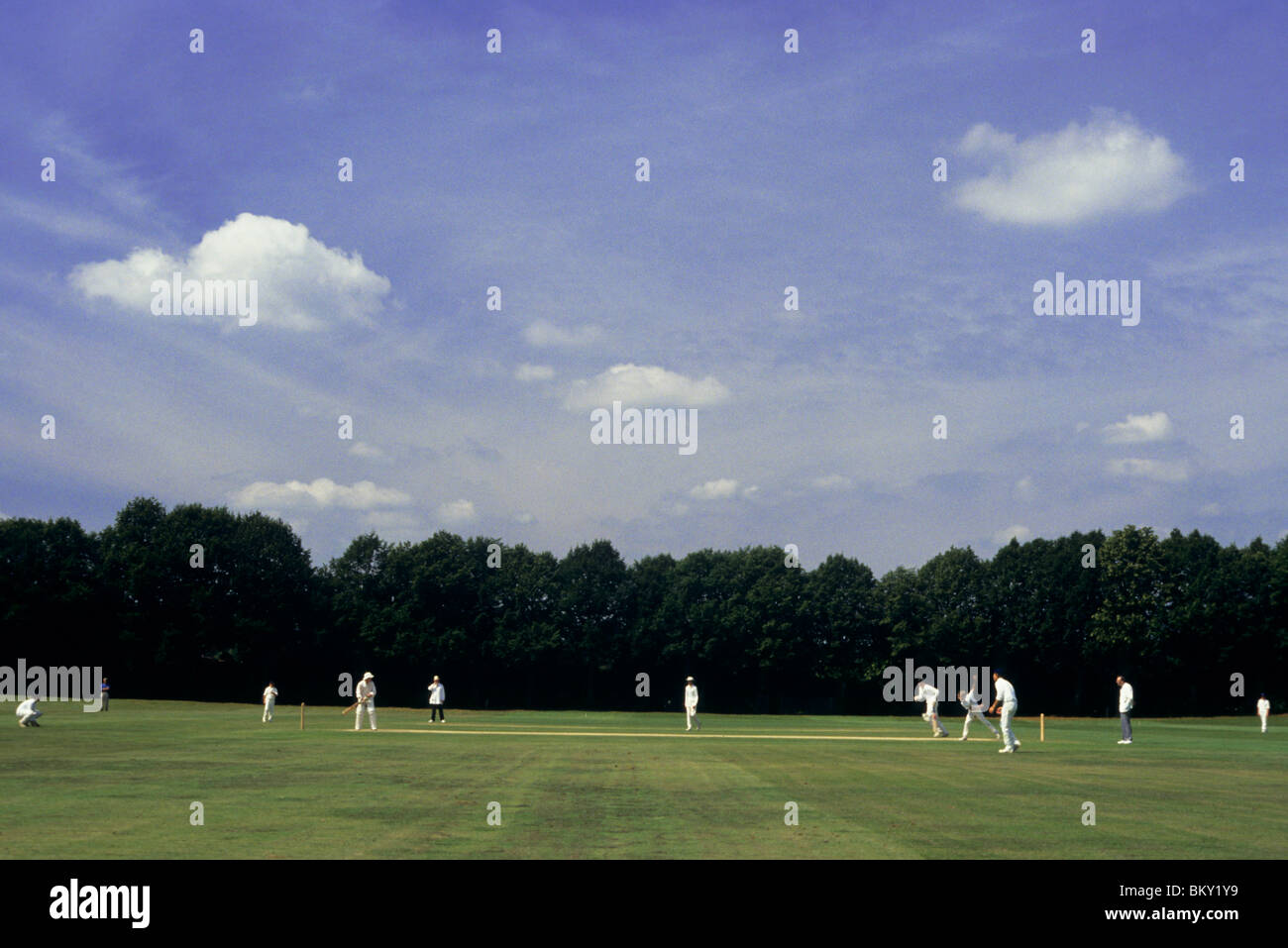 Men playing cricket at hi-res stock photography and images - Alamy