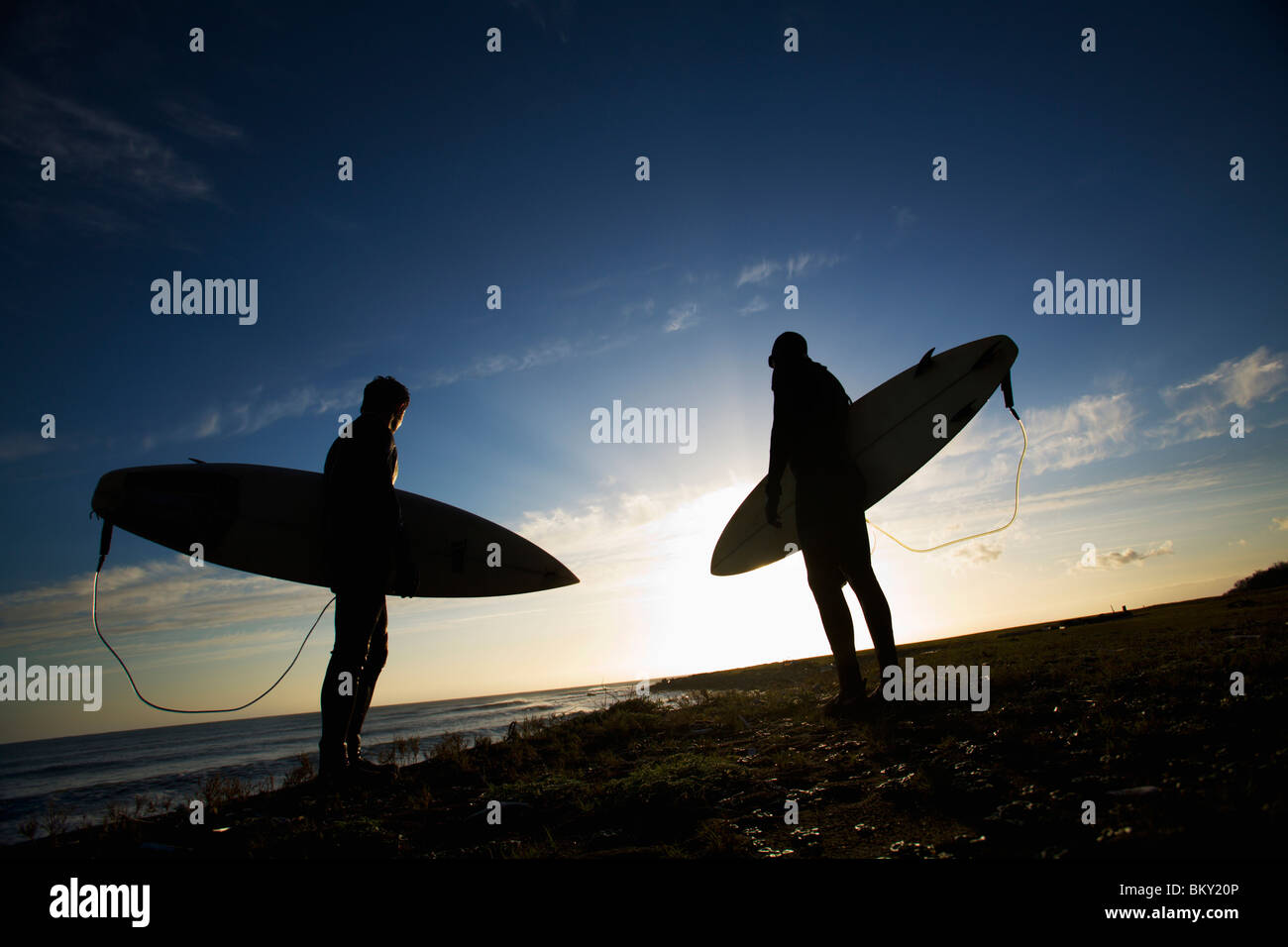 Surfi hi-res stock photography and images - Alamy