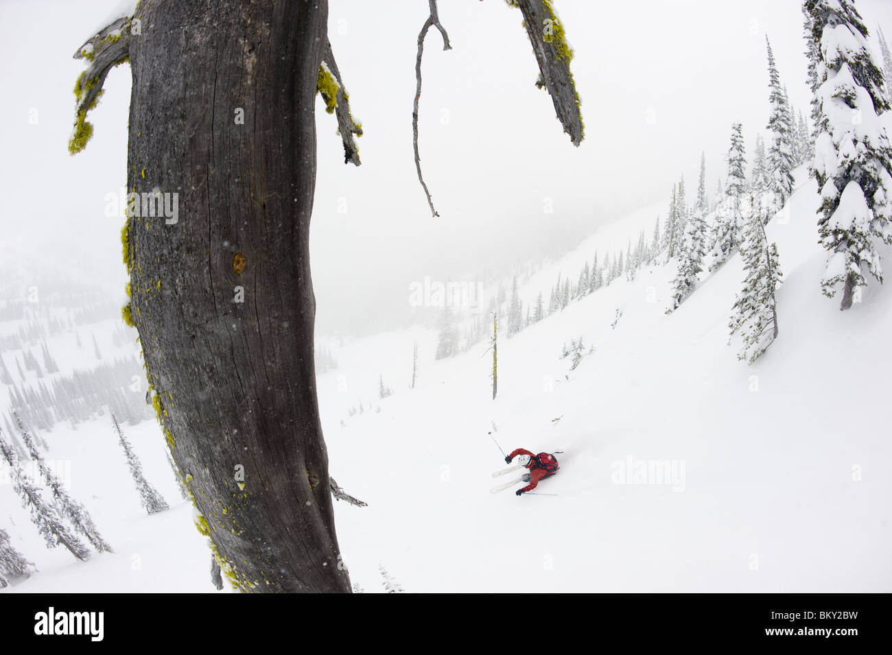 A backcountry skier skis down a steep gully into the fog Stock Photo ...
