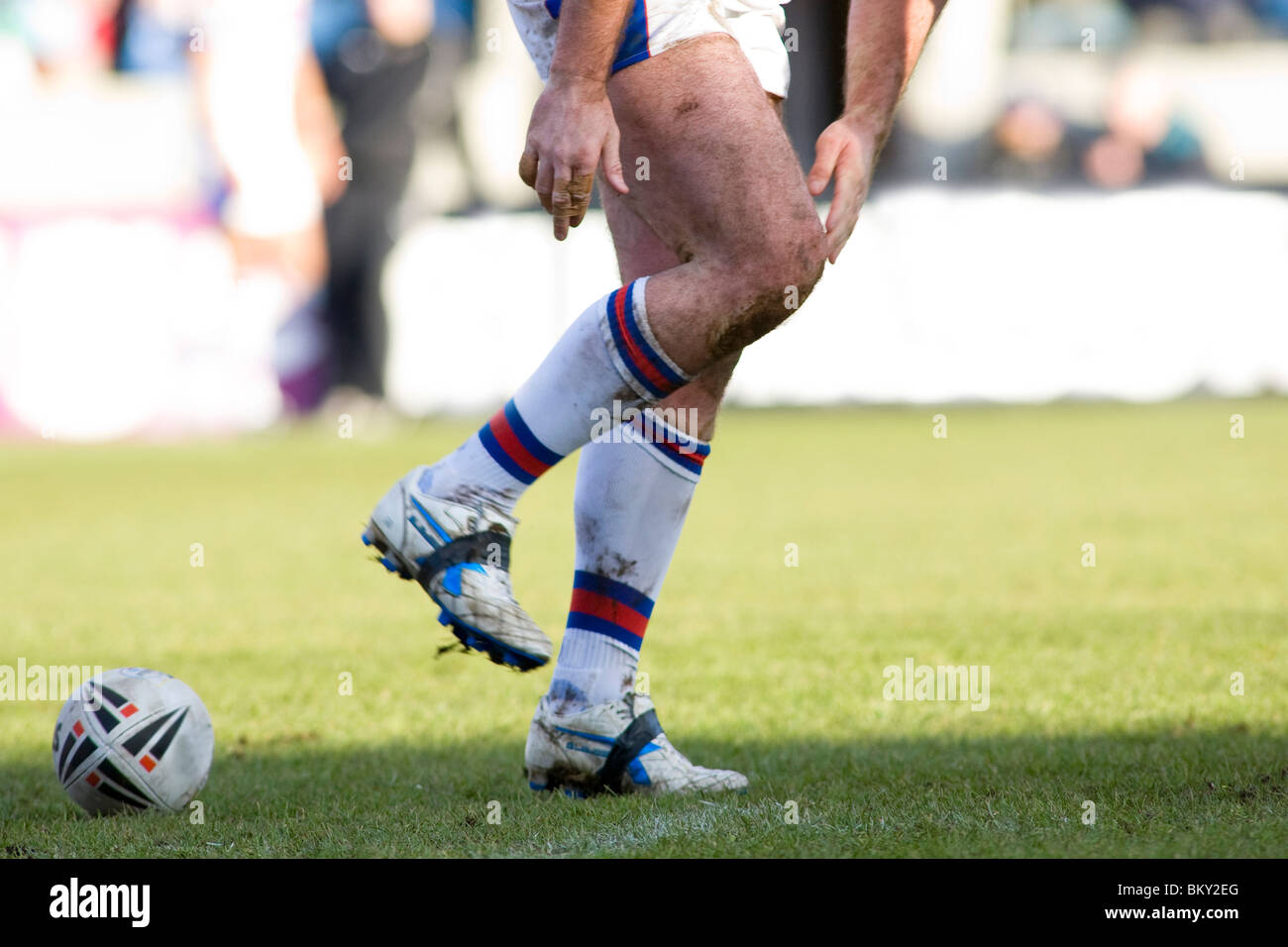 Rugby players drops ball for penalty in rugby match Stock Photo - Alamy