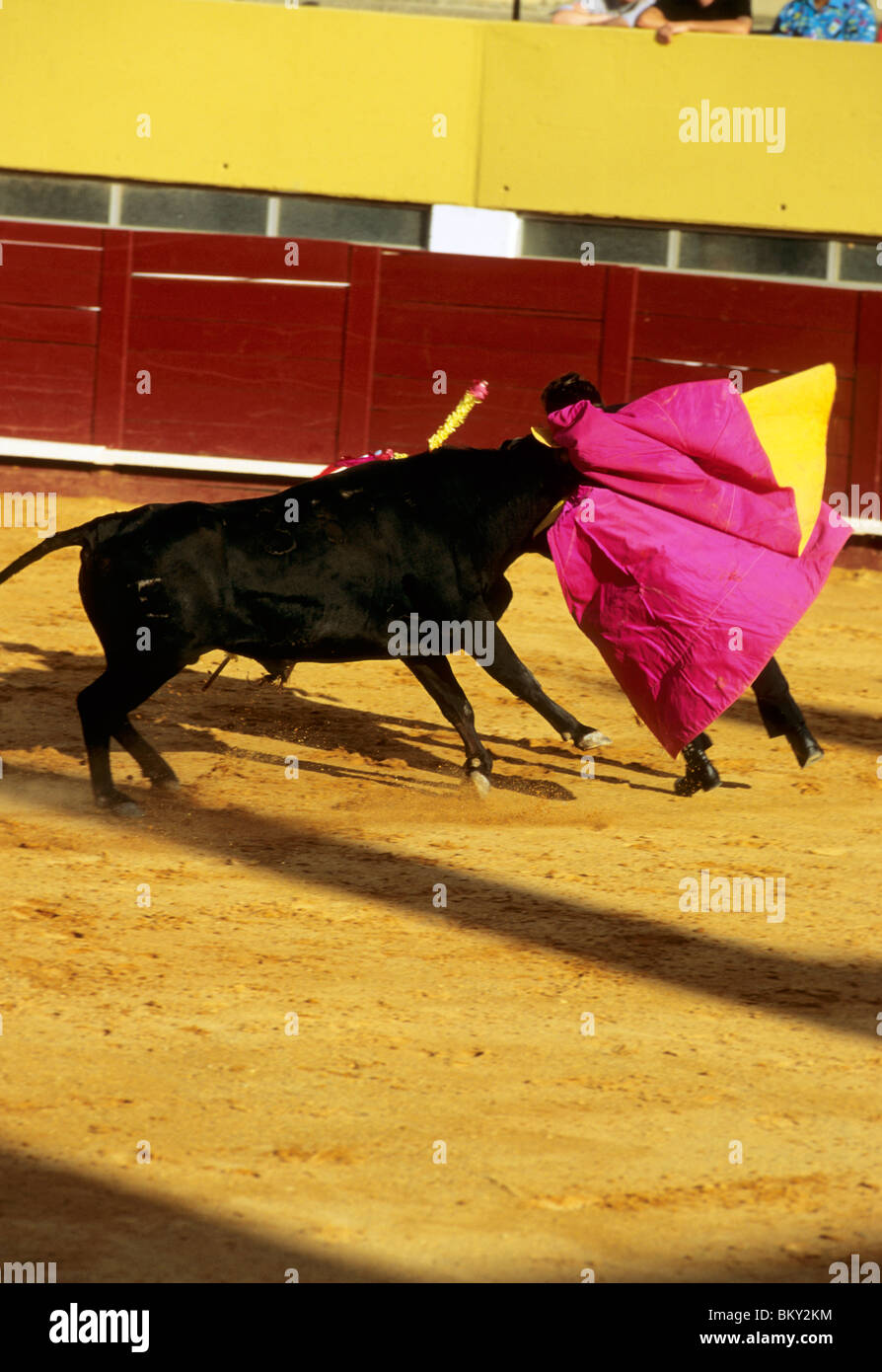 Fighting with spears hi-res stock photography and images - Alamy