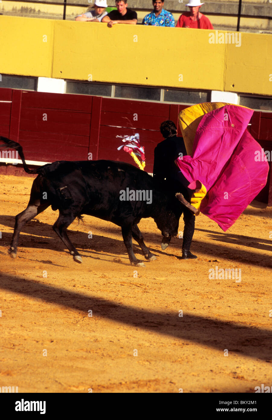 Bull goring hi-res stock photography and images - Alamy