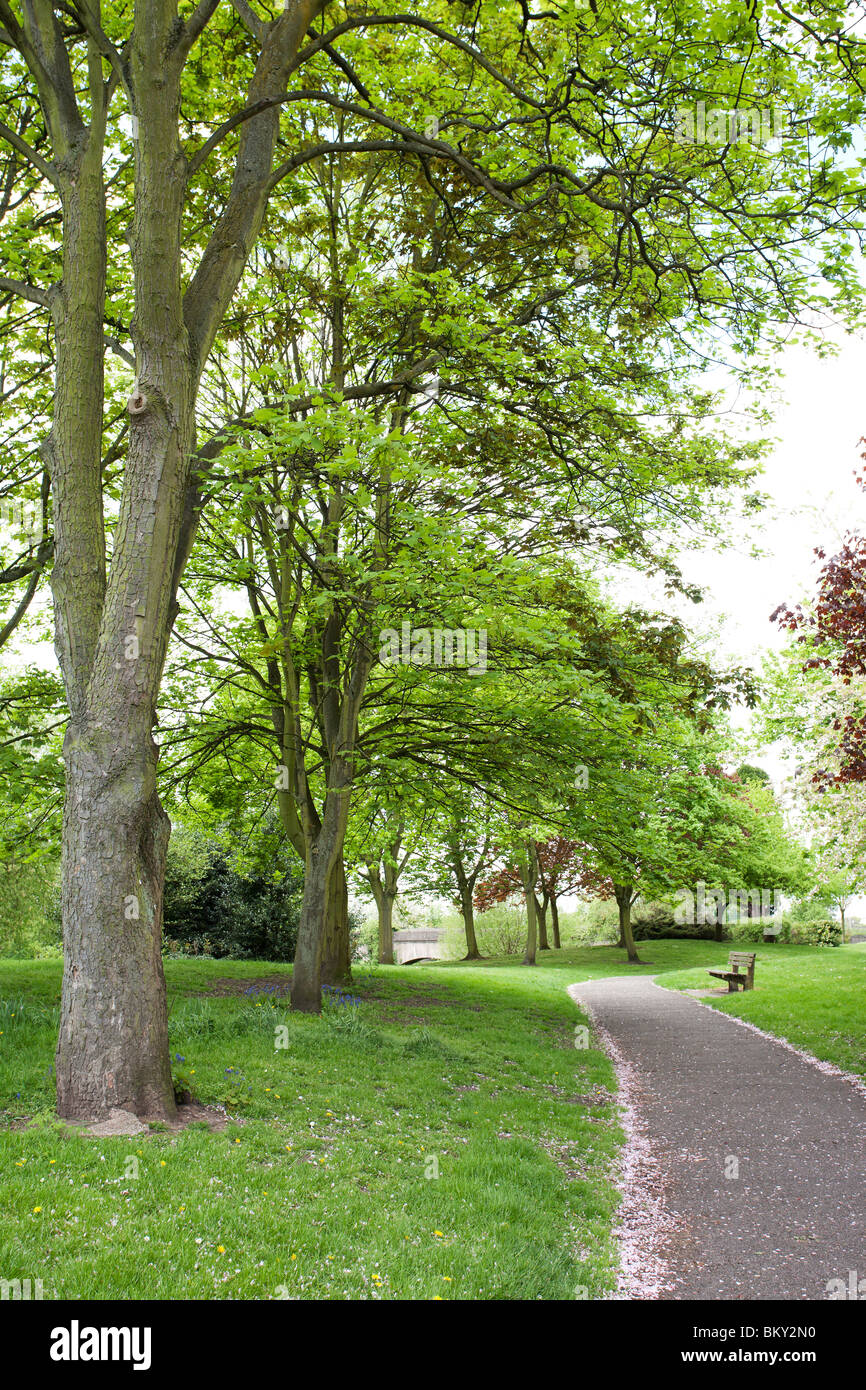 footpath in a park with green grass and trees Stock Photo - Alamy