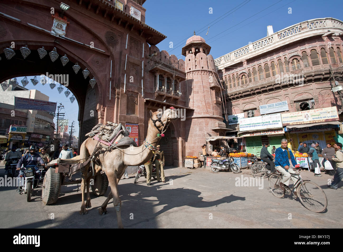 Camel cart. Kote Gate. Bikaner. Rajasthan. India Stock Photo - Alamy