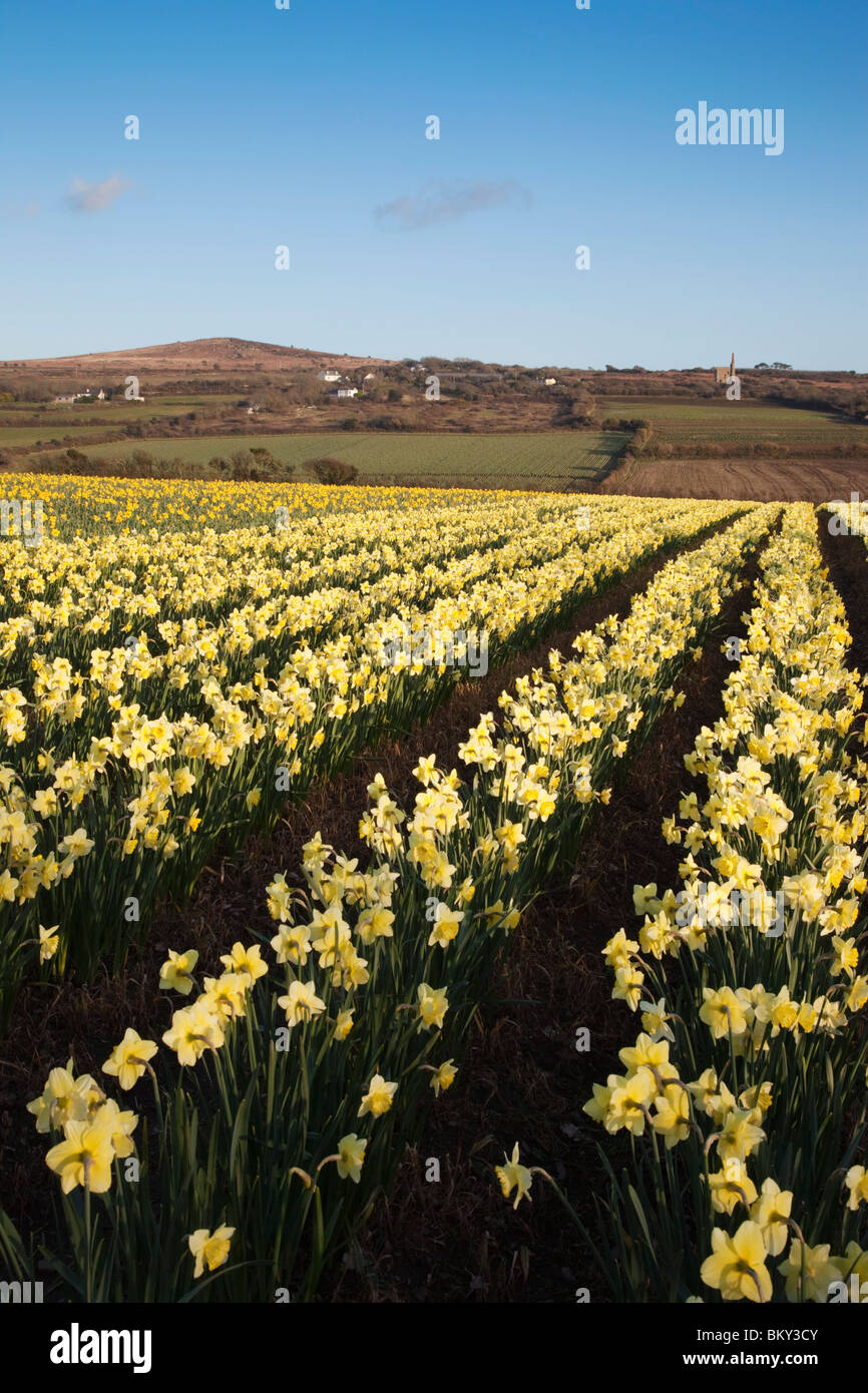 Townshend house hi-res stock photography and images - Alamy