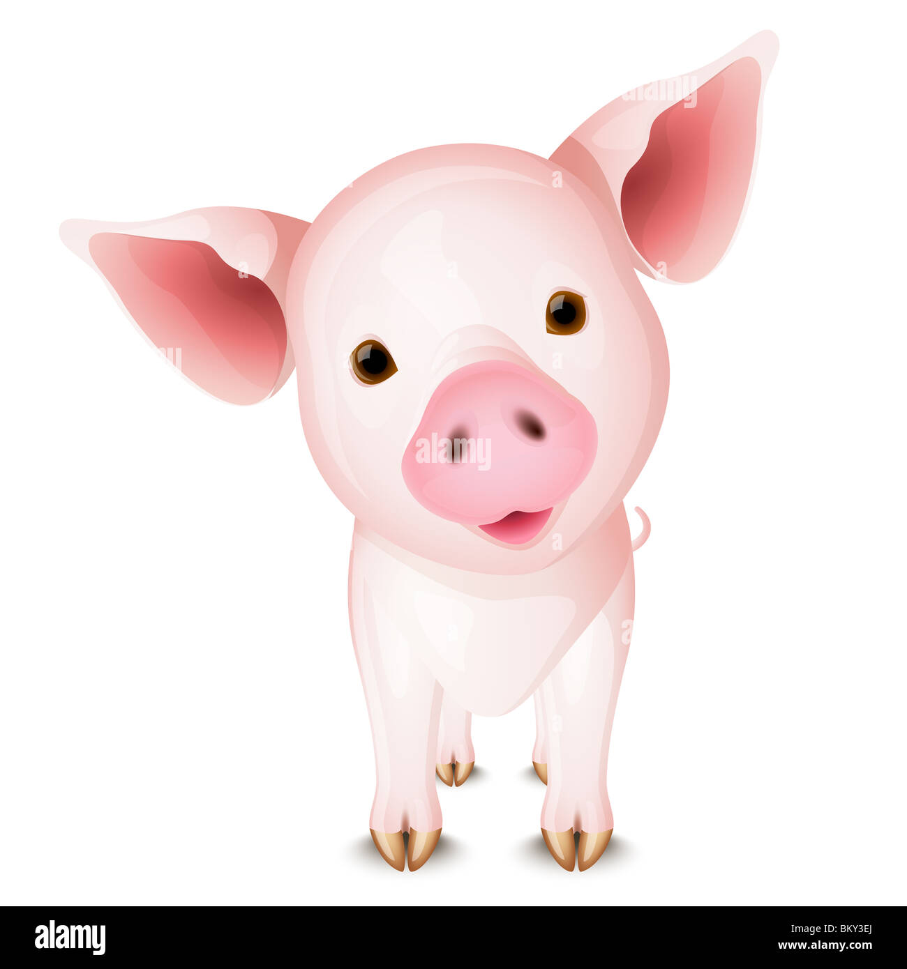 Little pink pig isolated on white background Stock Photo - Alamy