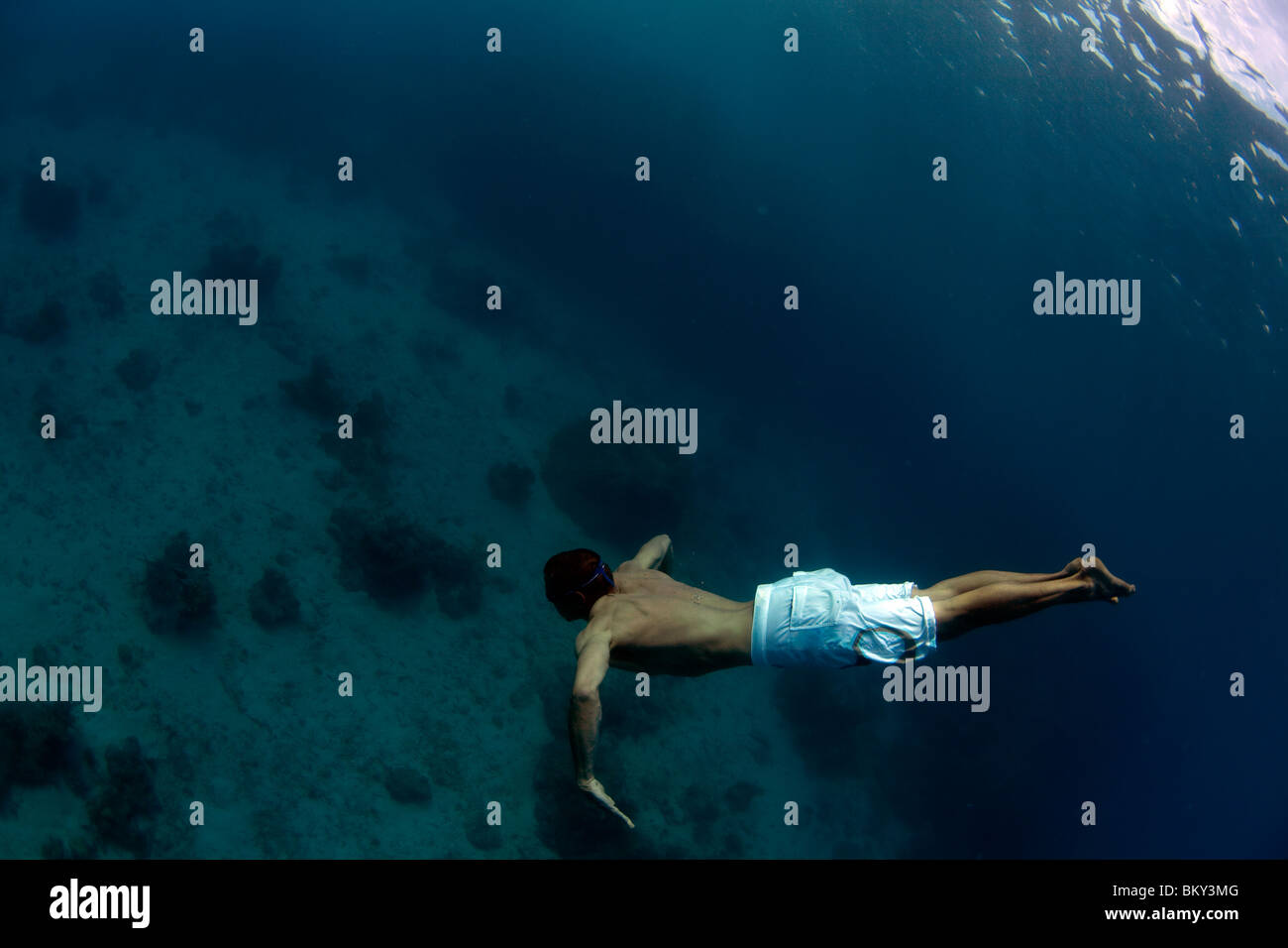 Underwater view of a man swimming deep into the tropical waters off ...