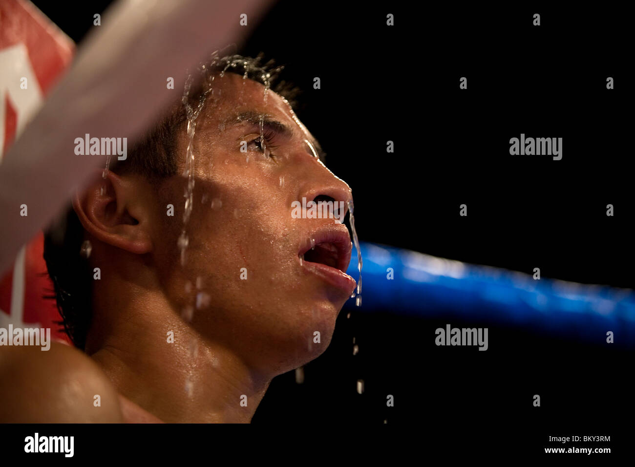 Boxing Corner Man High Resolution Stock Photography and Images - Alamy