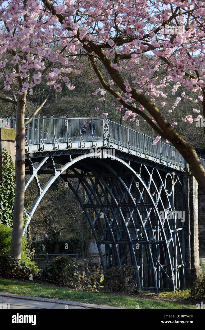 The Ironbridge in Shropshire England Uk framed in spring blossom Stock ...