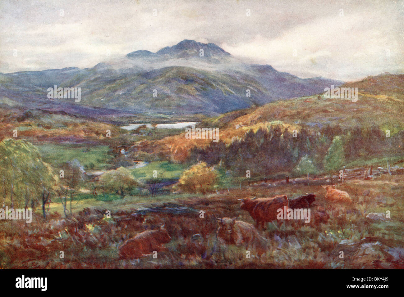 Ben venue summit hi-res stock photography and images - Alamy
