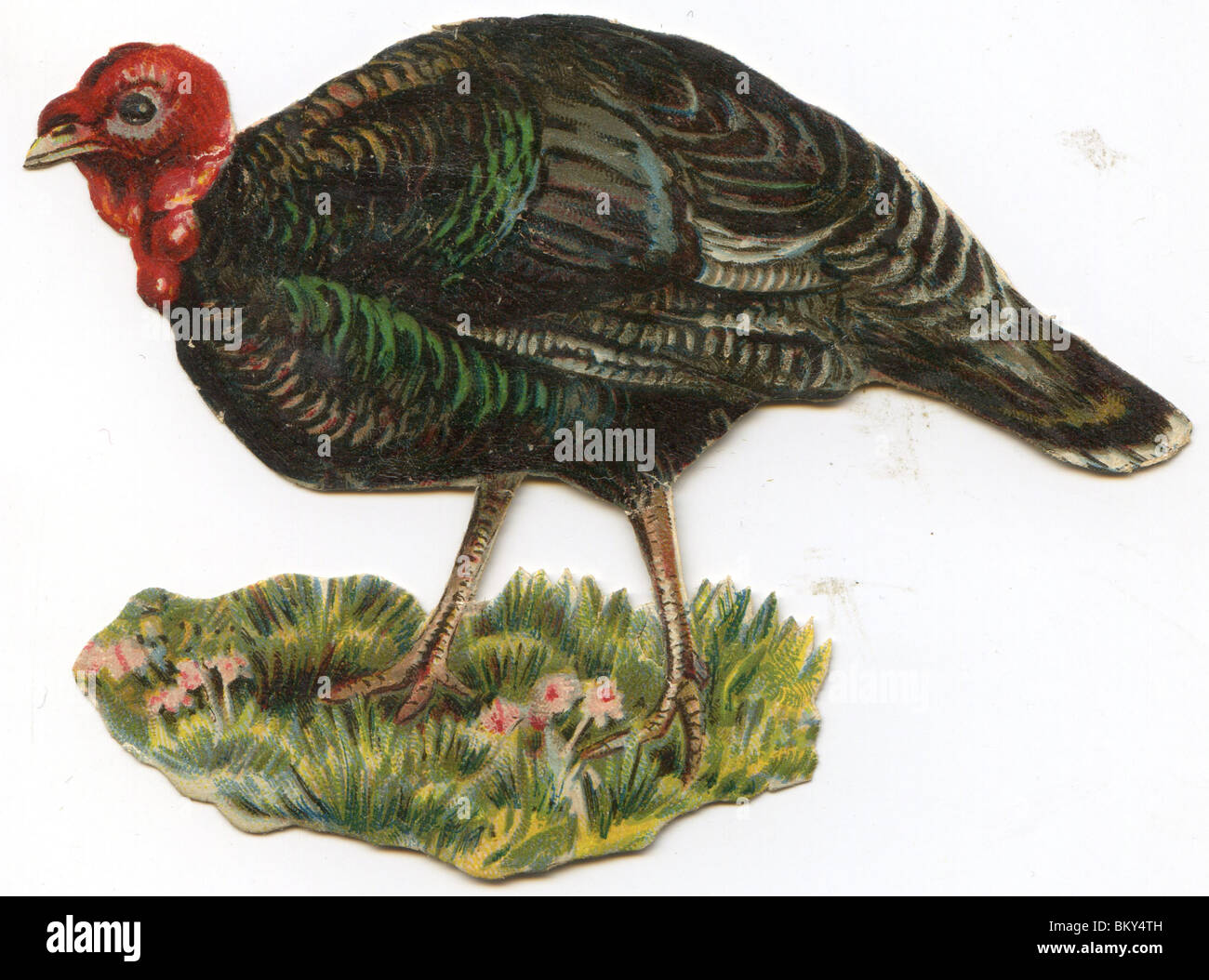 Turkey 1800s hi-res stock photography and images - Alamy